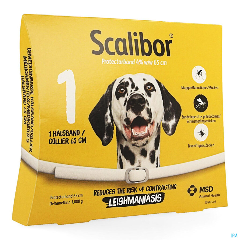 SCALIBOR COLLIER L 65 CM – Pharmacie Online